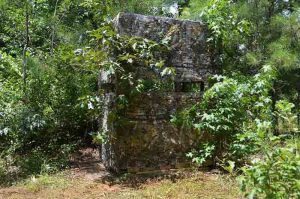 DIY Ground Blind - Step by Step with Plans, Tips & FAQs