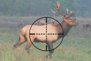 How to Use Mil Dot Scopes? - Everything You Need to Know
