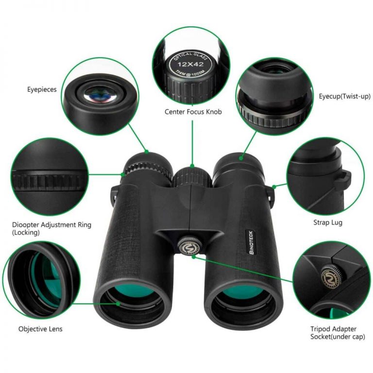 How to Repair Binoculars? | 4 Simple Steps Anyone Can Follow!