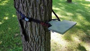12 Best Climbing Sticks to Try in 2024