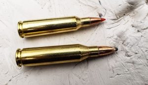.22-250 vs .243: How Do They Differ?