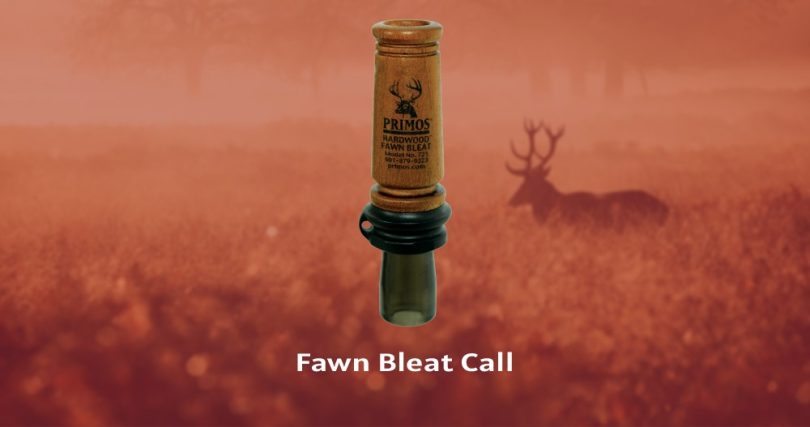 5 Types of Deer Calls Explained by Seasoned Hunters